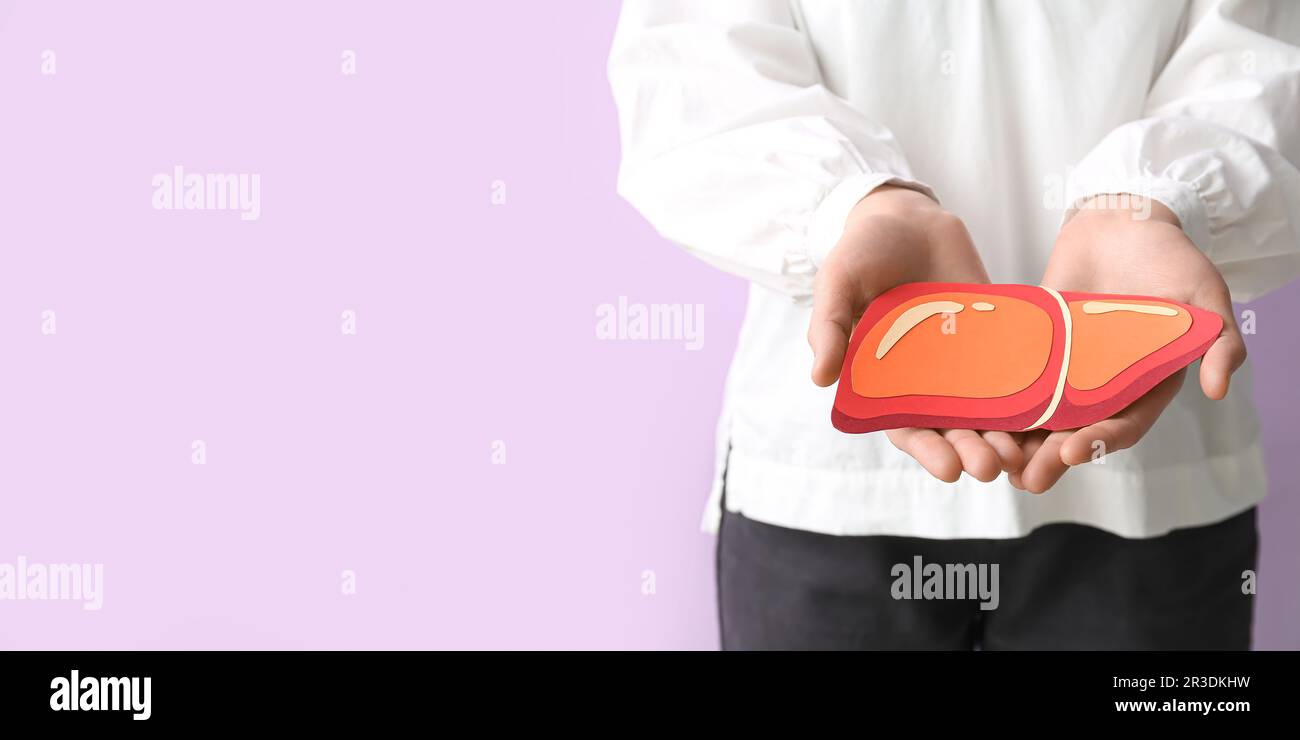 Woman holding human liver anatomy hi-res stock photography and images ...