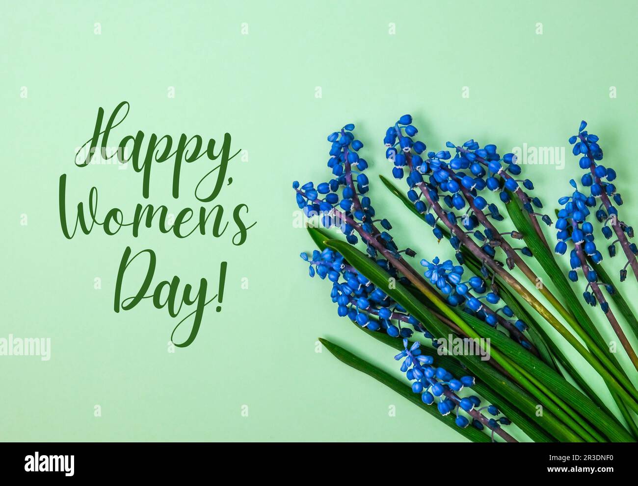 HAPPY WOMENS DAY Postcard layout. Spring modern still life. Blue ...