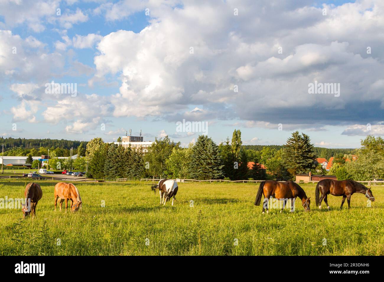 Urlaub in allrode hi-res stock photography and images - Alamy