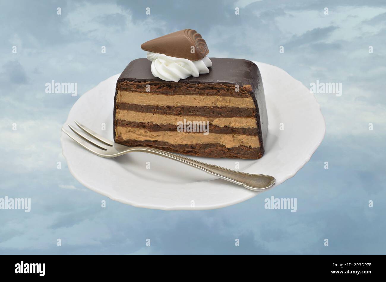 Piece of Chocolate fancy cake on white Plate, floating in the air Stock ...