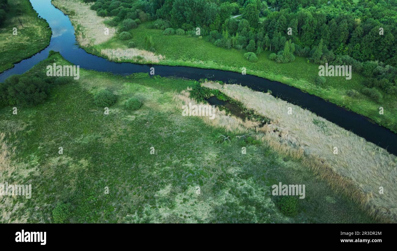 Flight over the city park. A neglected park in the backlight of the sun ...