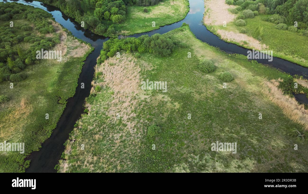 Flight over the city park. A neglected park in the backlight of the sun ...