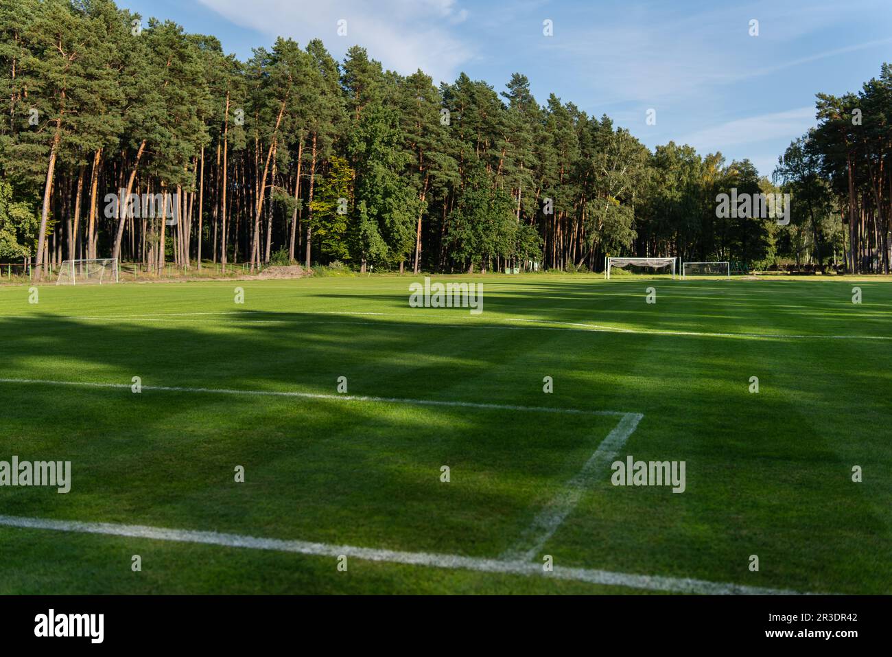Local football. Soccer freshly cut grass field near pine forest, street ...