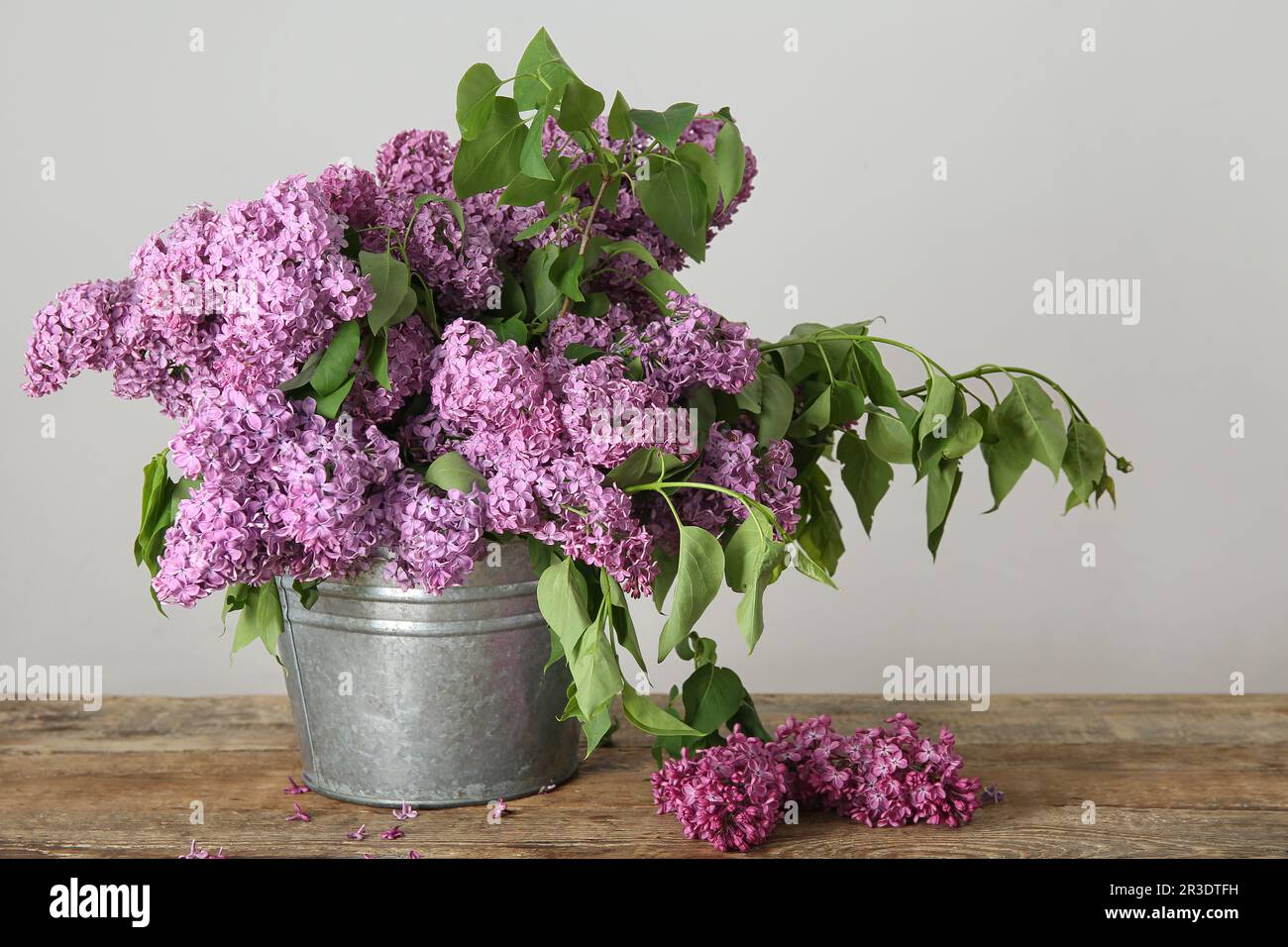 Metal bucket of beautiful lilac flowers on brown wooden table near ...
