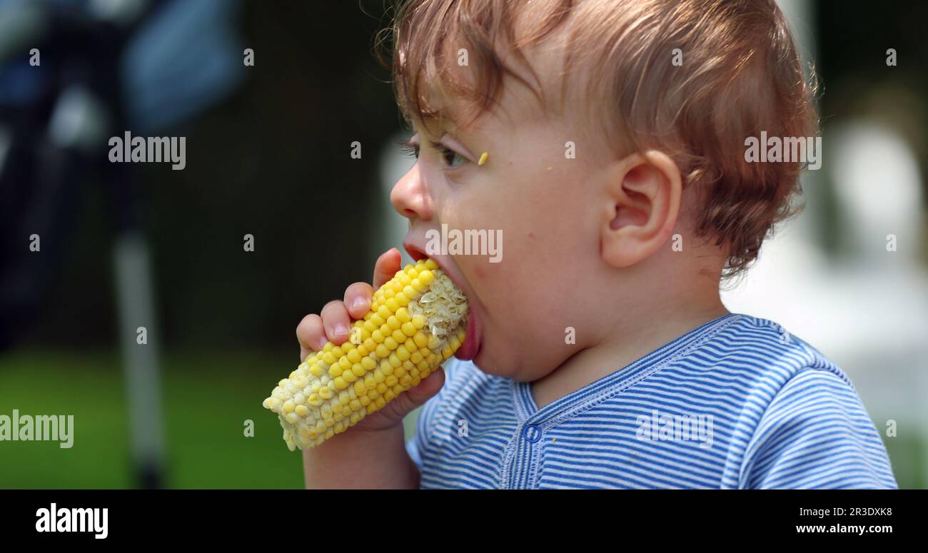 Cute baby eating corn cob outside Stock Photo - Alamy