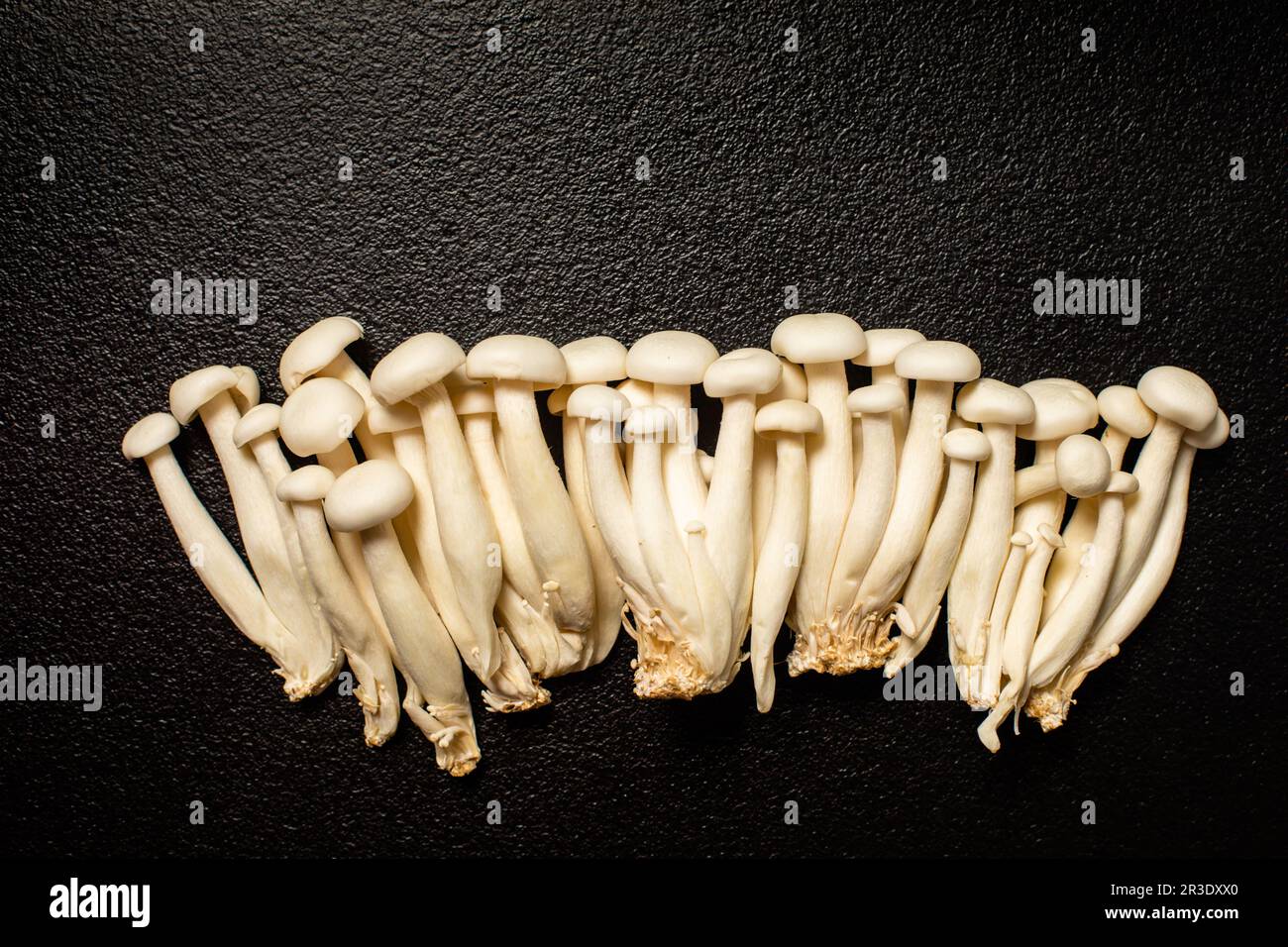 Shimeji mushroom or White beech mushrooms on black background Stock ...