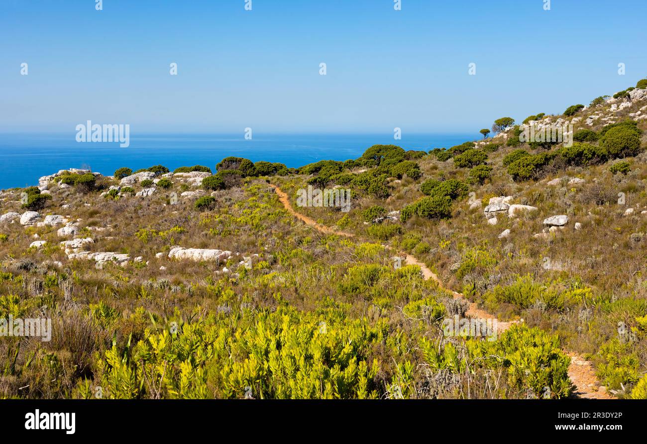 Top view dirt paths hi-res stock photography and images - Alamy