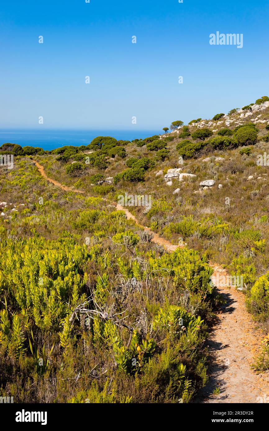 Narrow mountain paths hi-res stock photography and images - Alamy