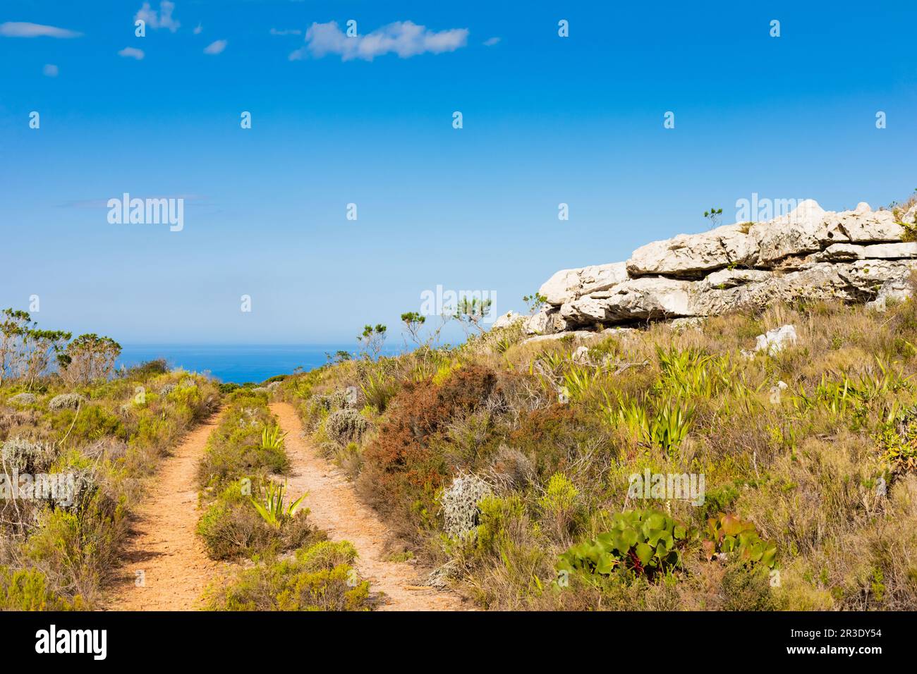 Dirt Track hiking paths on top of a mountain by the coast Stock Photo ...