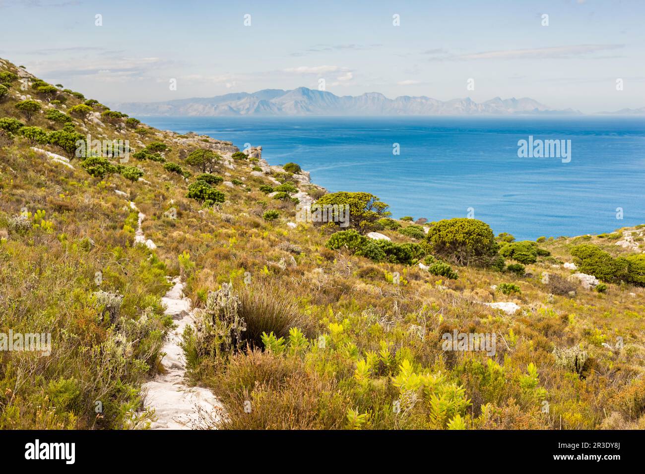 Dirt Track hiking paths on top of a mountain by the coast Stock Photo ...