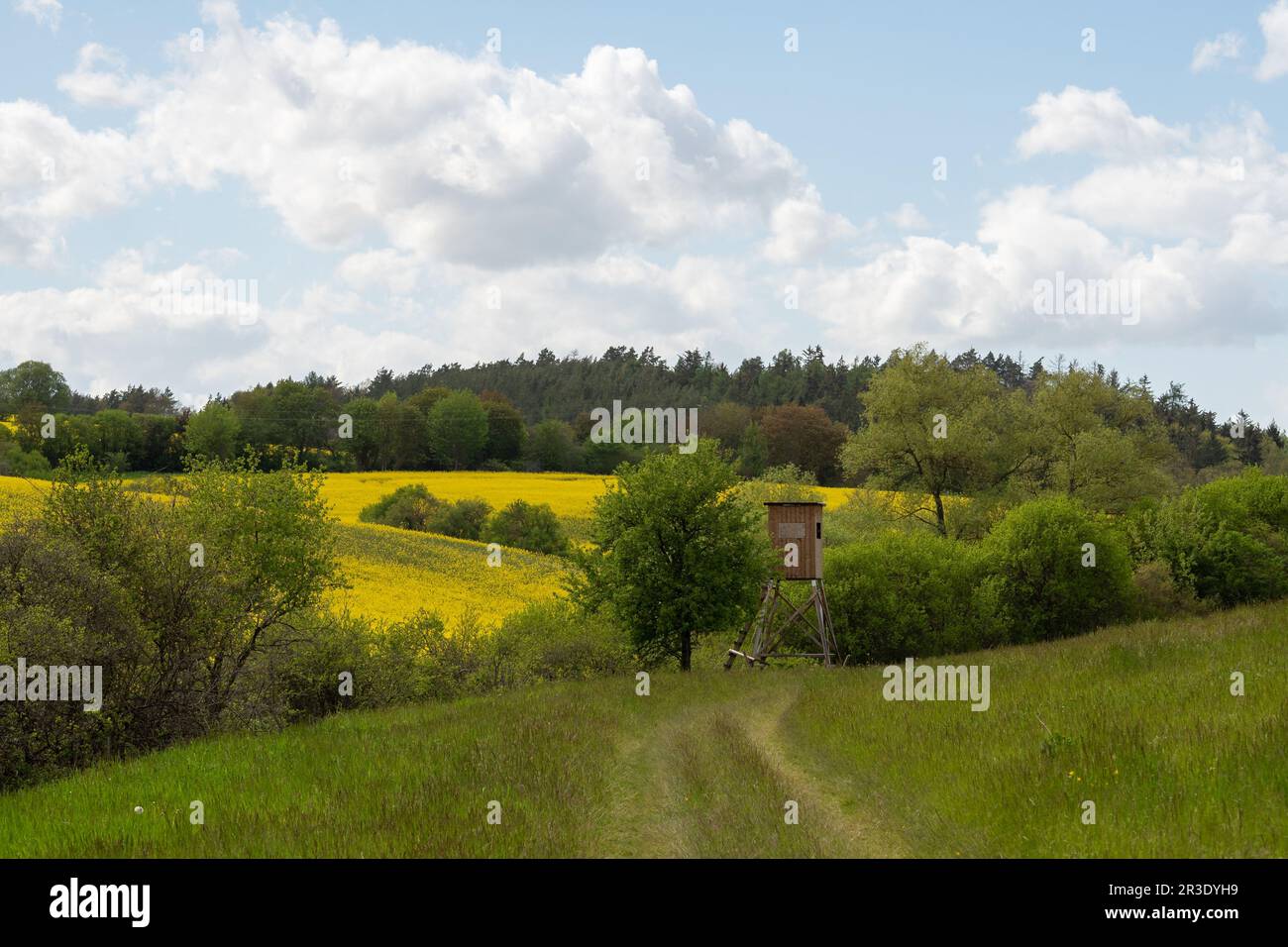 Landscape in the summer Stock Photo - Alamy