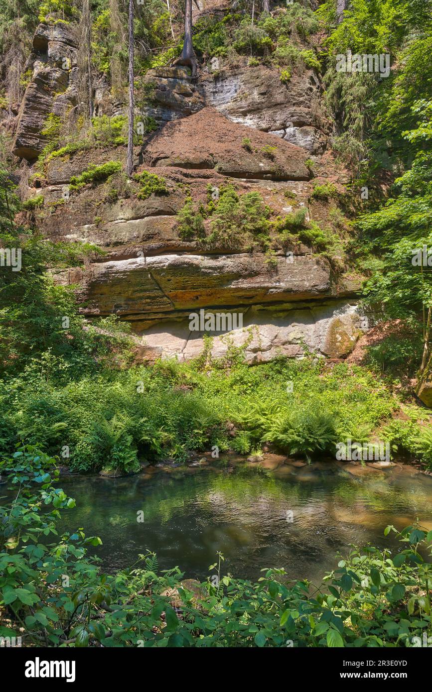 Elbe Sandstone Mountains Edmundsklamm Hrensko Stock Photo - Alamy