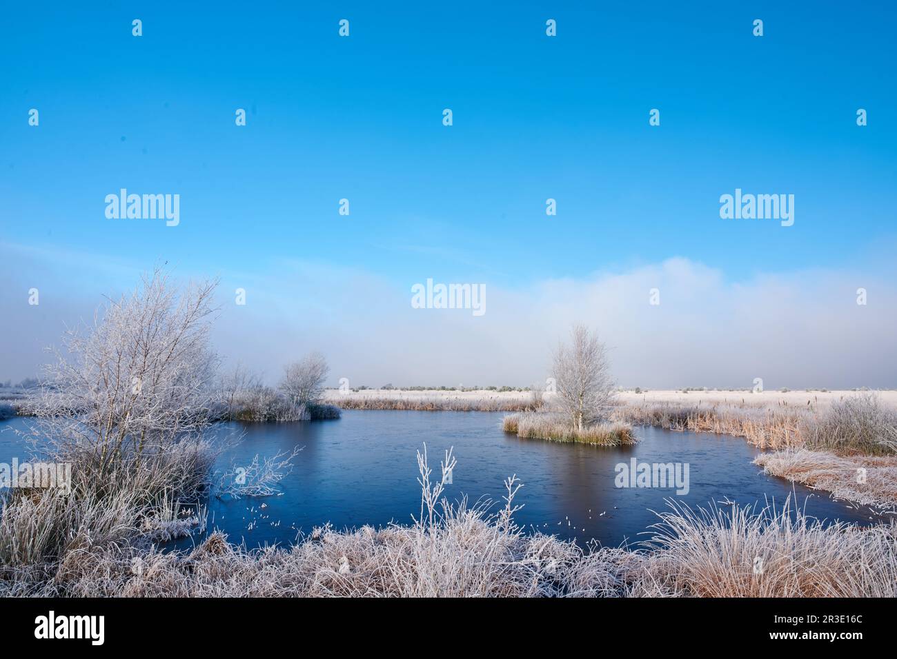 Bog at winter hi-res stock photography and images - Alamy