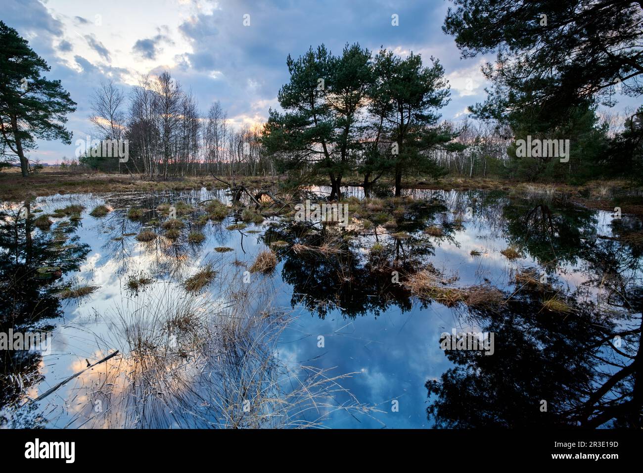 Bog with snow hi-res stock photography and images - Alamy