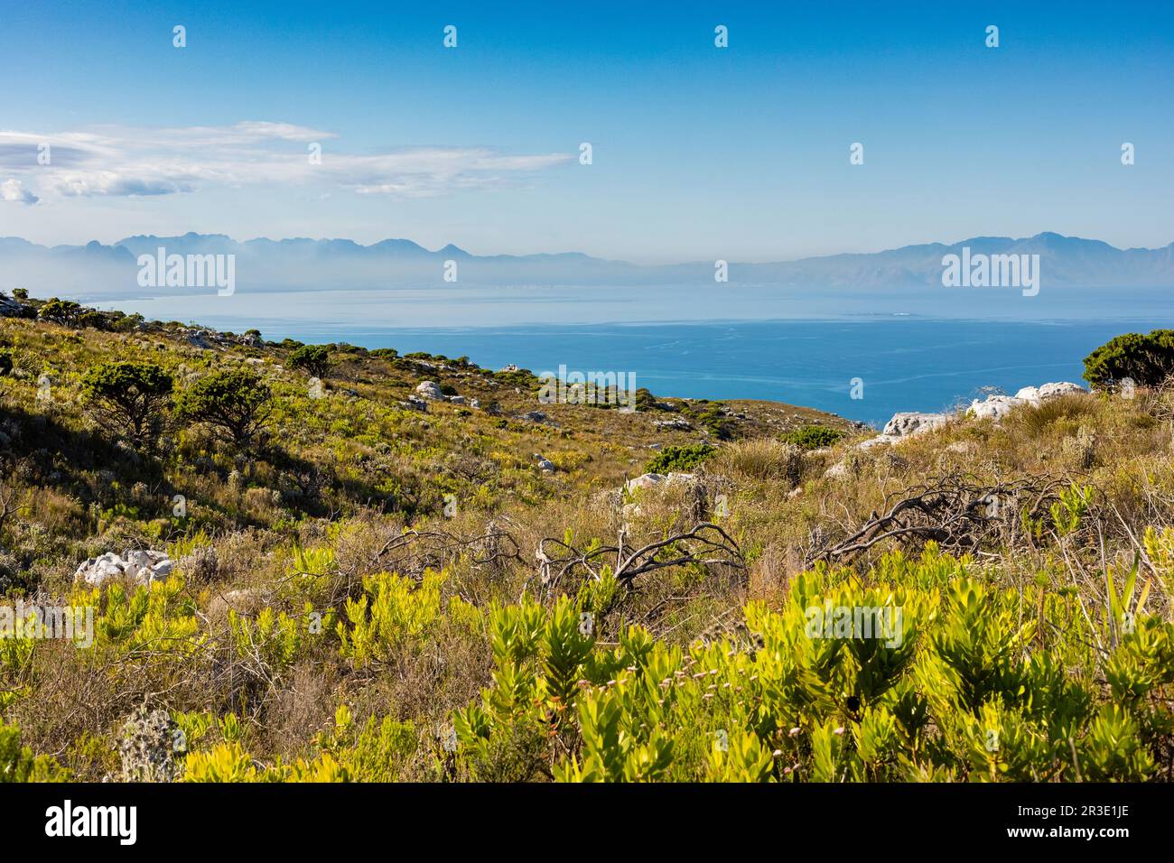 Coastal mountain landscape with fynbos flora in Cape Town Stock Photo ...