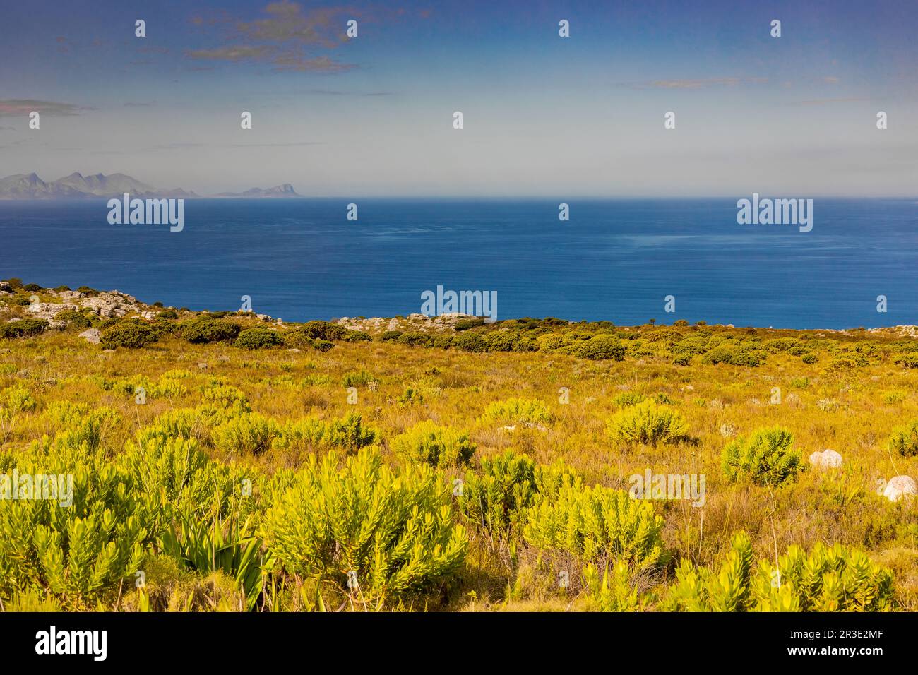 Coastal mountain landscape with fynbos flora in Cape Town Stock Photo ...