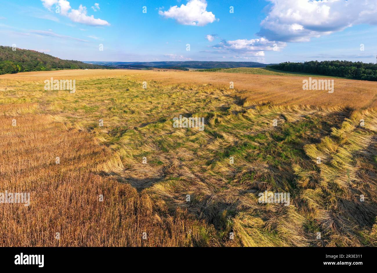 Default hi-res stock photography and images - Alamy