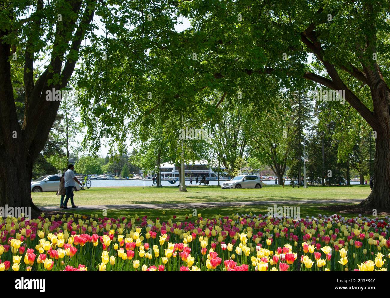 Commissioner's Park, Tulip Festival, Spring time, Ottawa, Ontario ...