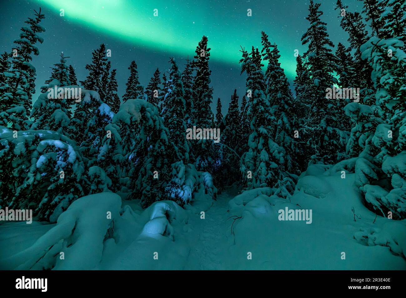 Magnificent turquoise green aurora borealis seen in northern Canada ...