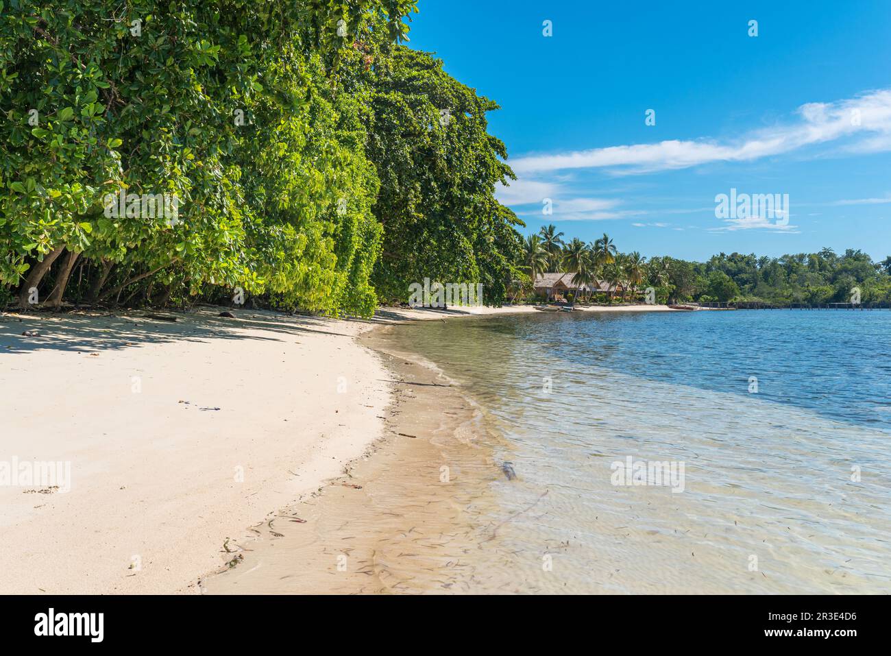 The Togian Island are a paradise in the Gulf of Tomini in Sulawesi ...