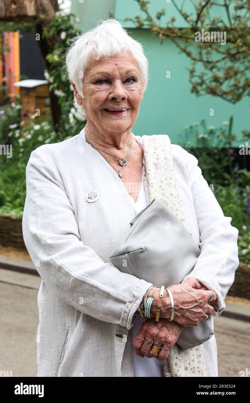 London, UK. 22nd May, 2023. Dame Judi Dench attending the press day for ...