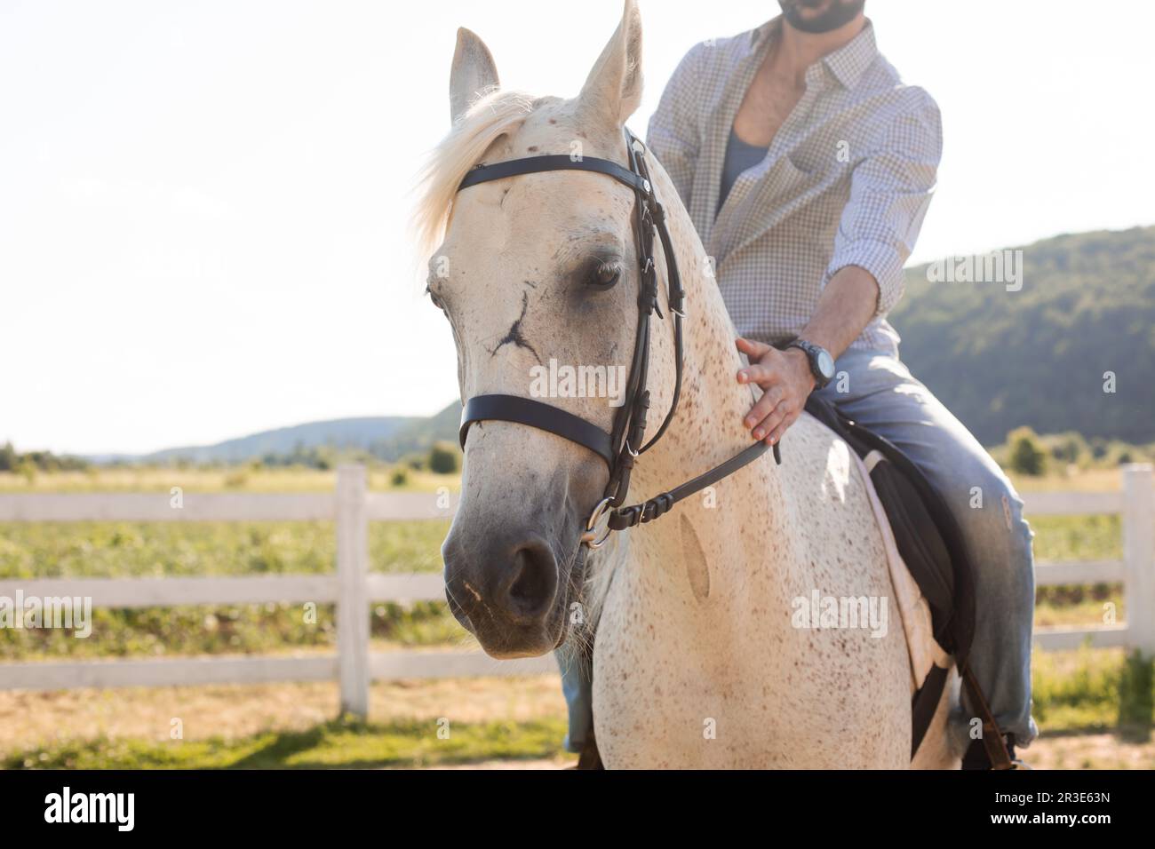 The handsome man rides a horse on a ranch Stock Photo - Alamy