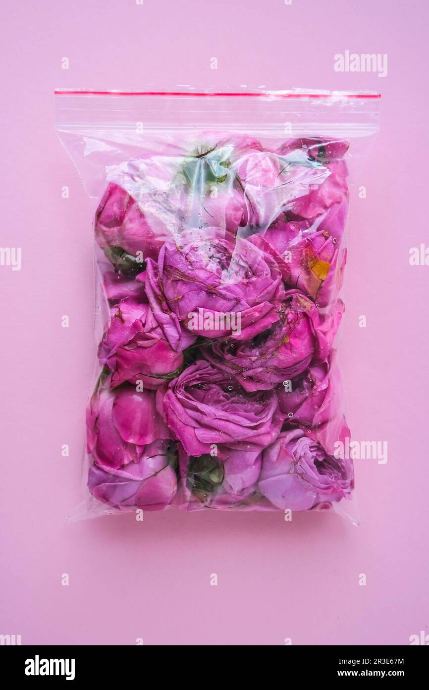 Environmental pollution concept. Flower in a plastic bag. Danger ...