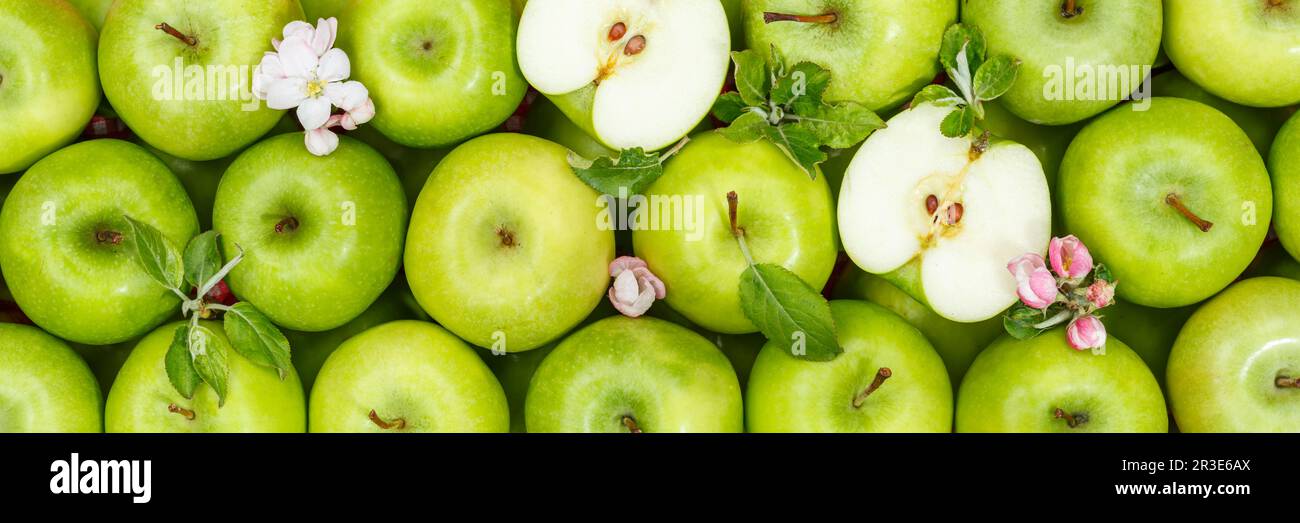 Apples fruits green apple fruit banner background with flowers and ...