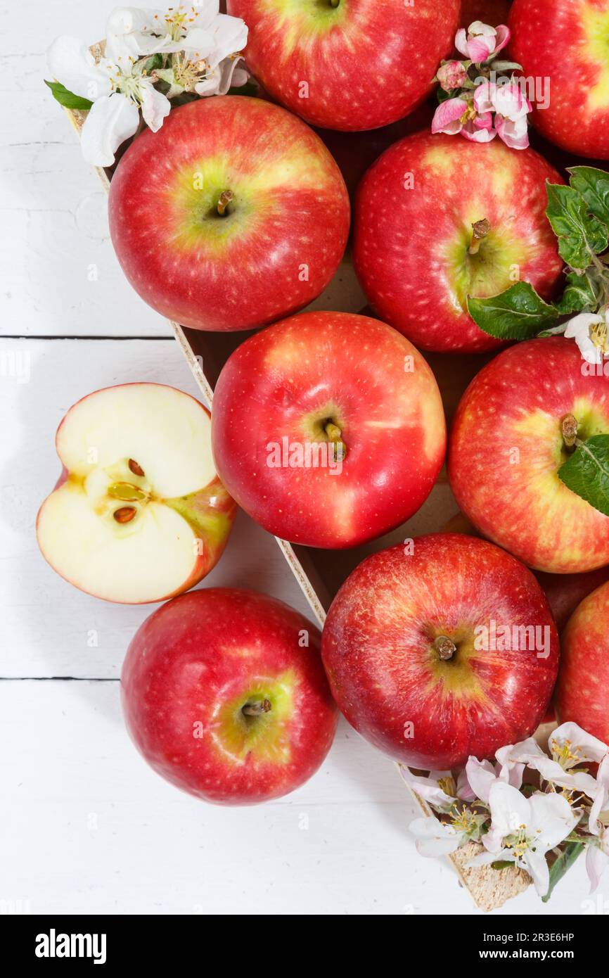 Apples fruits red apple fruit box on wooden board portrait with flowers ...