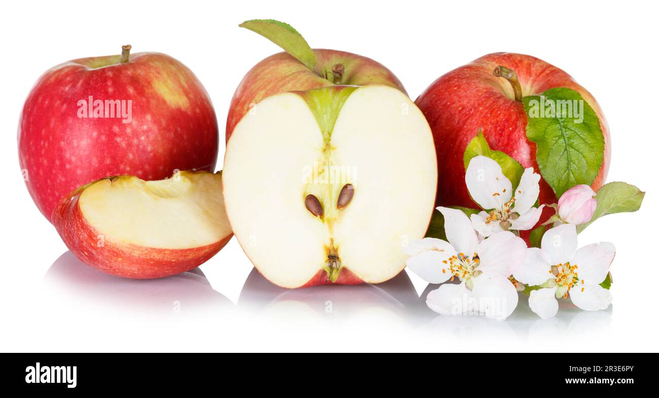 Apples fruits red apple fruit with flowers and leaves cropped isolated ...