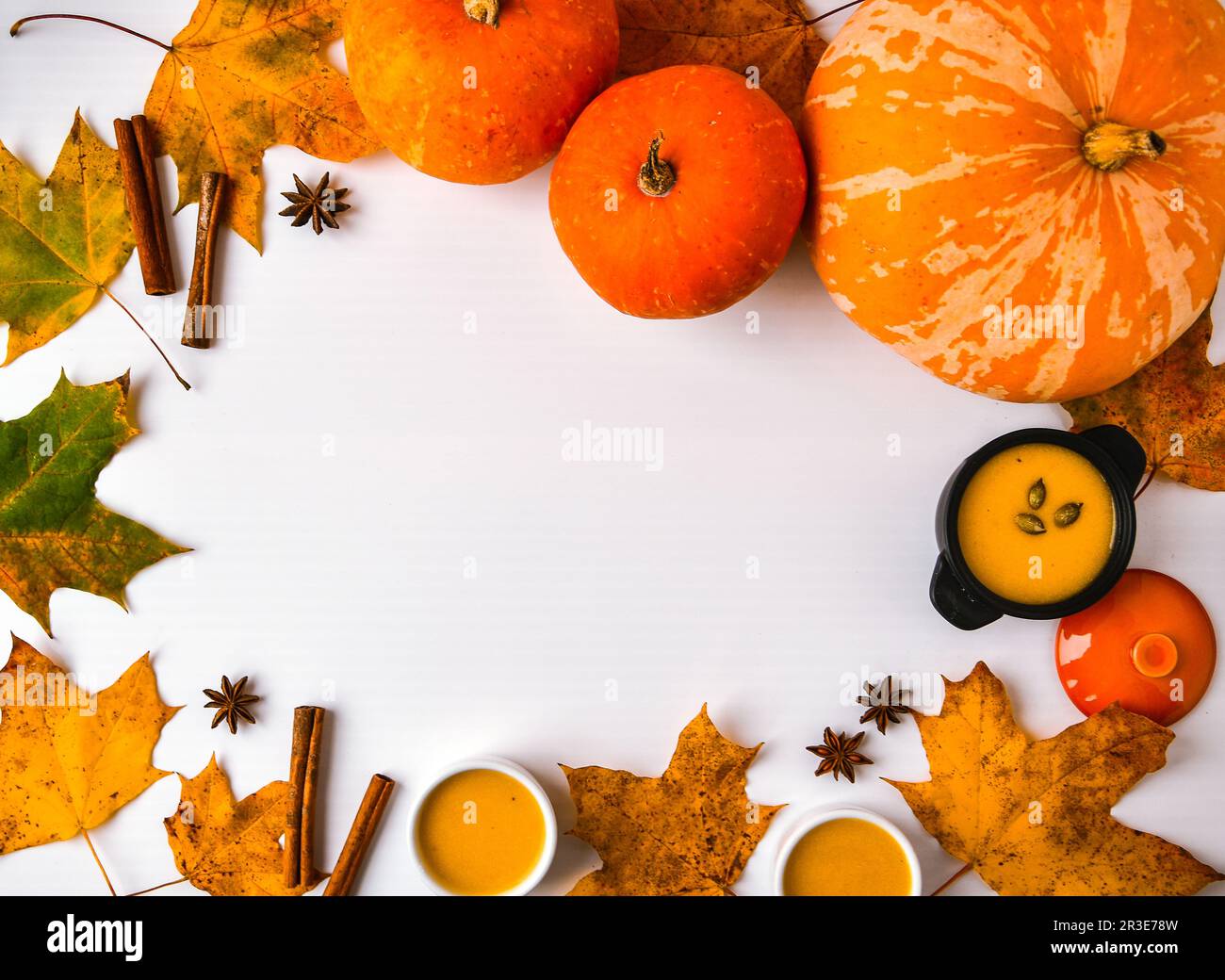 Leaves top view hi-res stock photography and images - Alamy