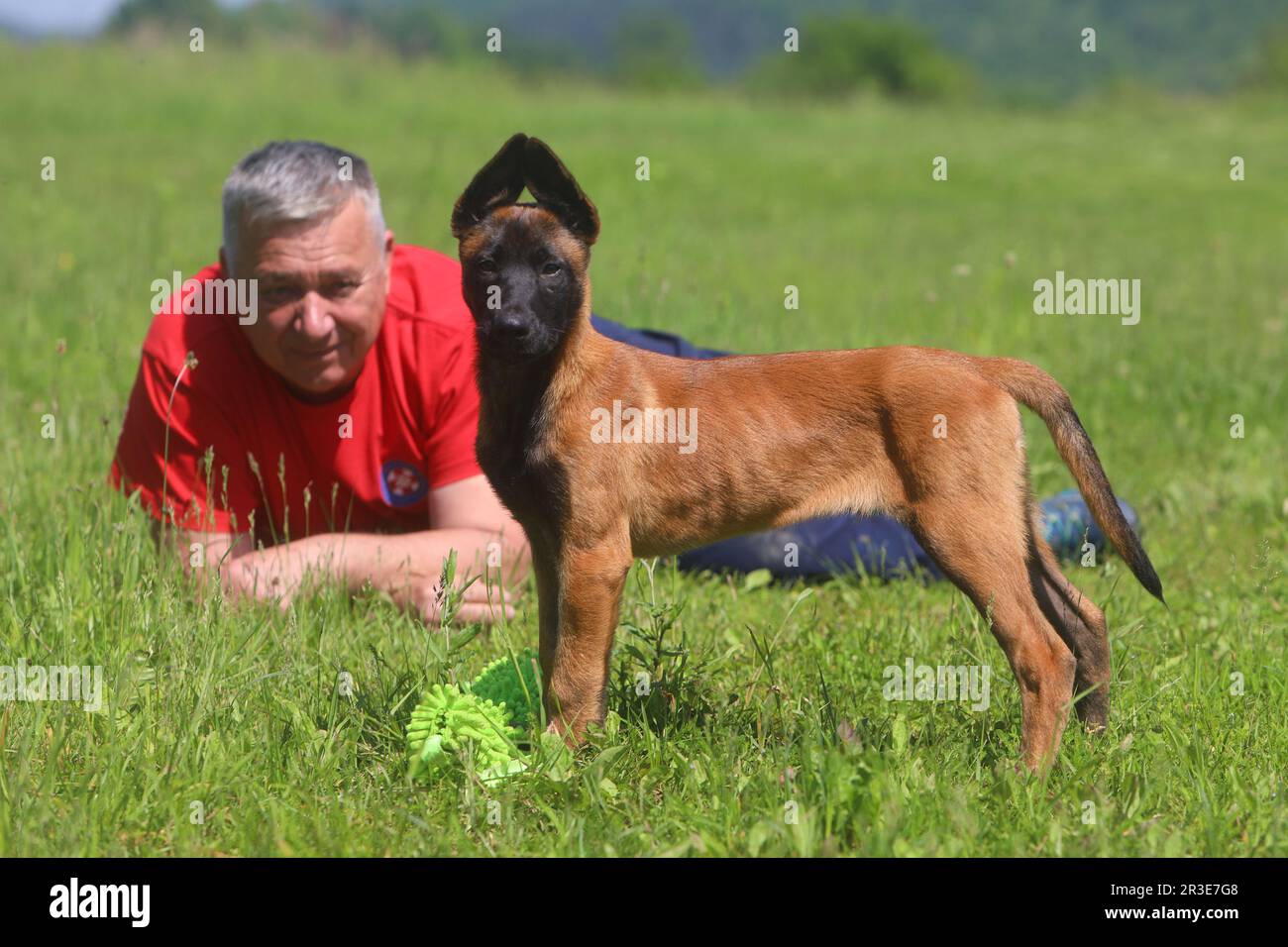Ogulin, Croatia. 23rd May, 2023. Handler Kruno Stipetic plays with ...