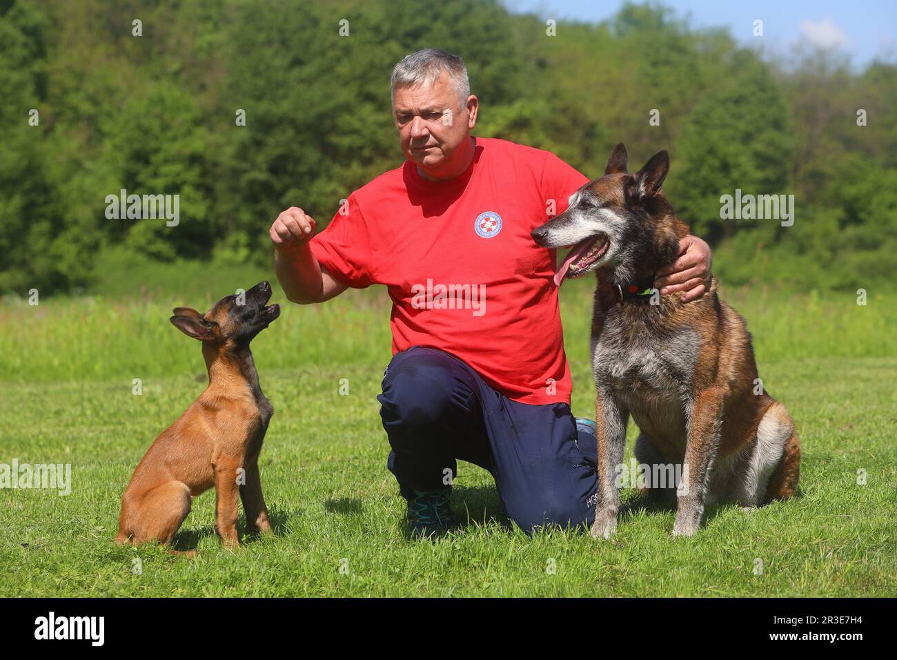 Handler Kruno Stipetic pose for a photo with Belgian shepherd puppy ...