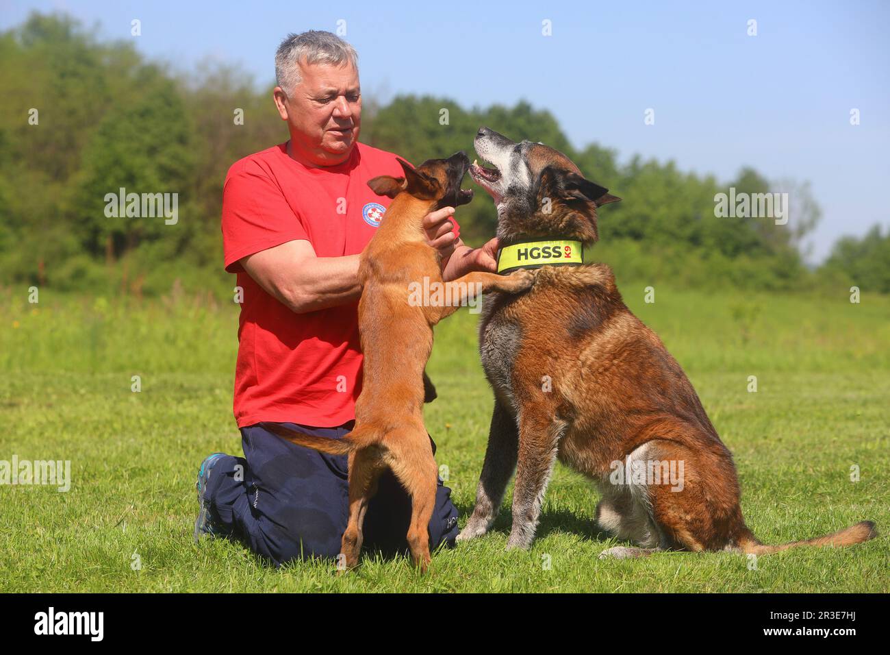 Handler Kruno Stipetic pose for a photo with Belgian shepherd puppy ...