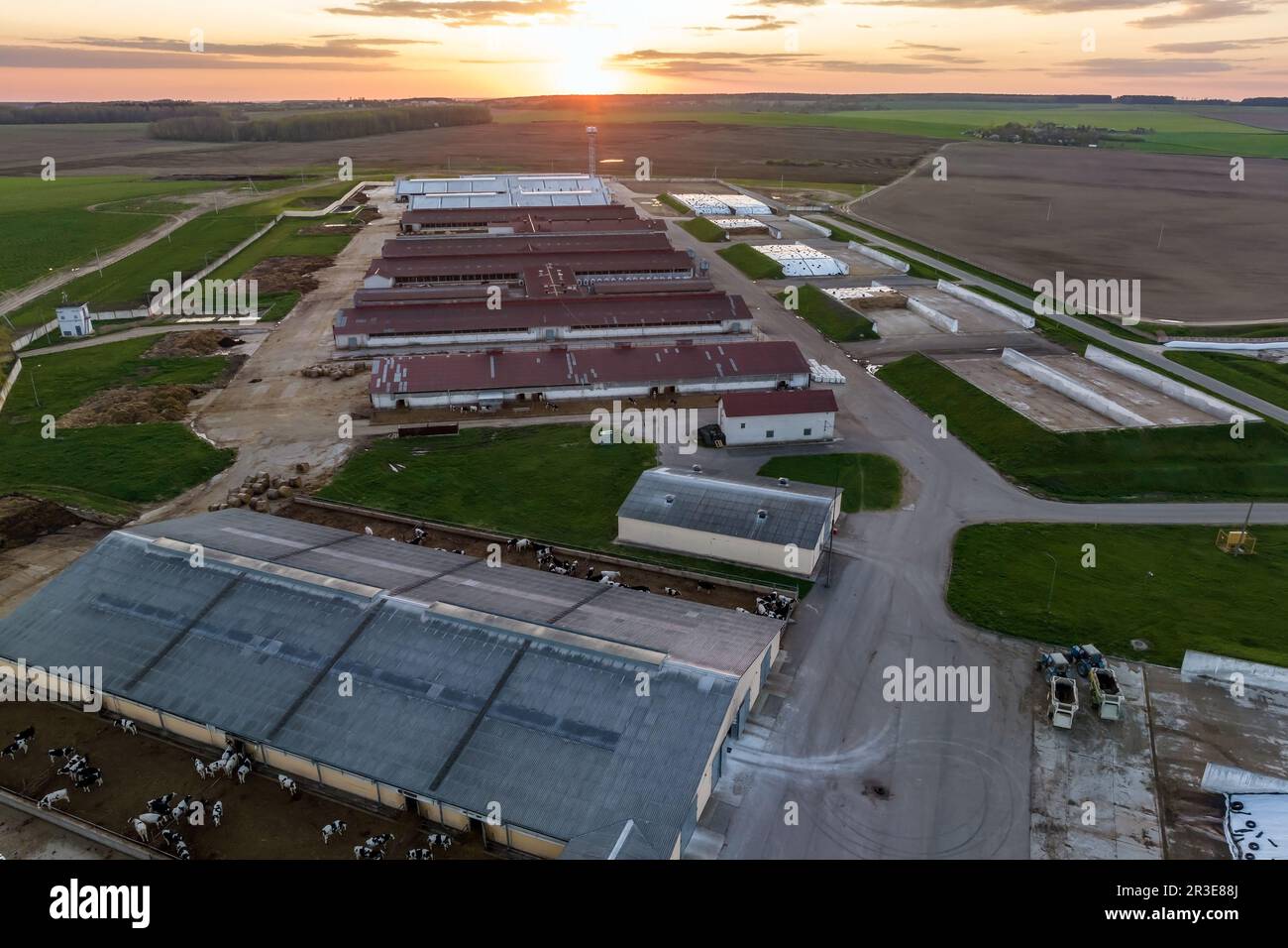 aerial panoramic view over silos and rows of barns, pigsties, chicken ...