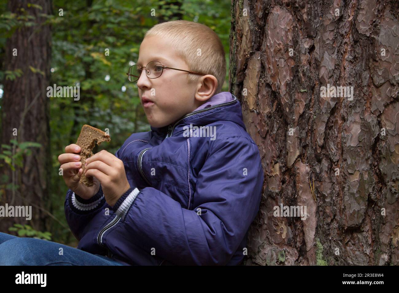 The boy in the autumn forest stooped to the tree and eats Stock Photo ...