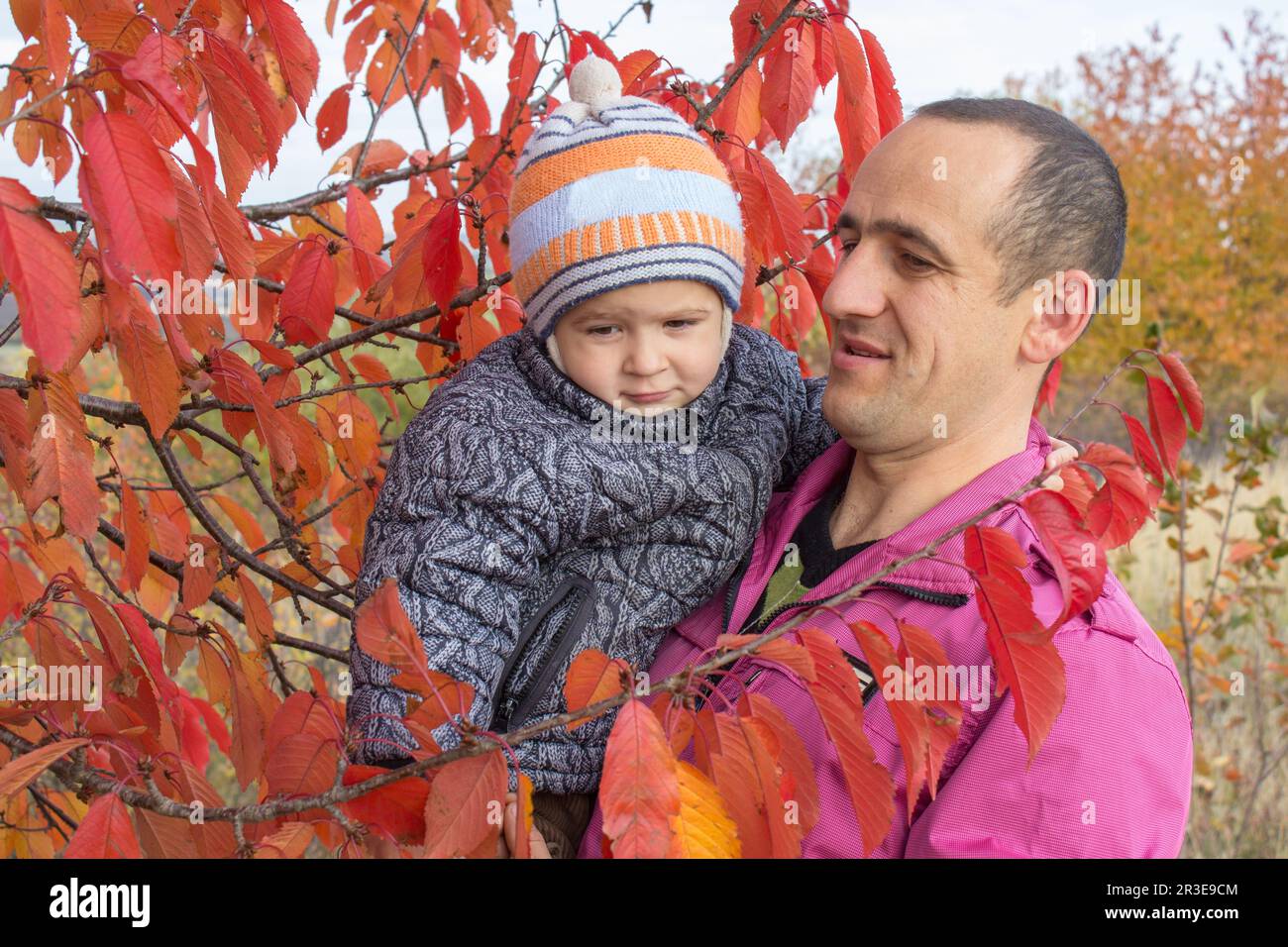 father shows his red leafy tree to his son Stock Photo - Alamy