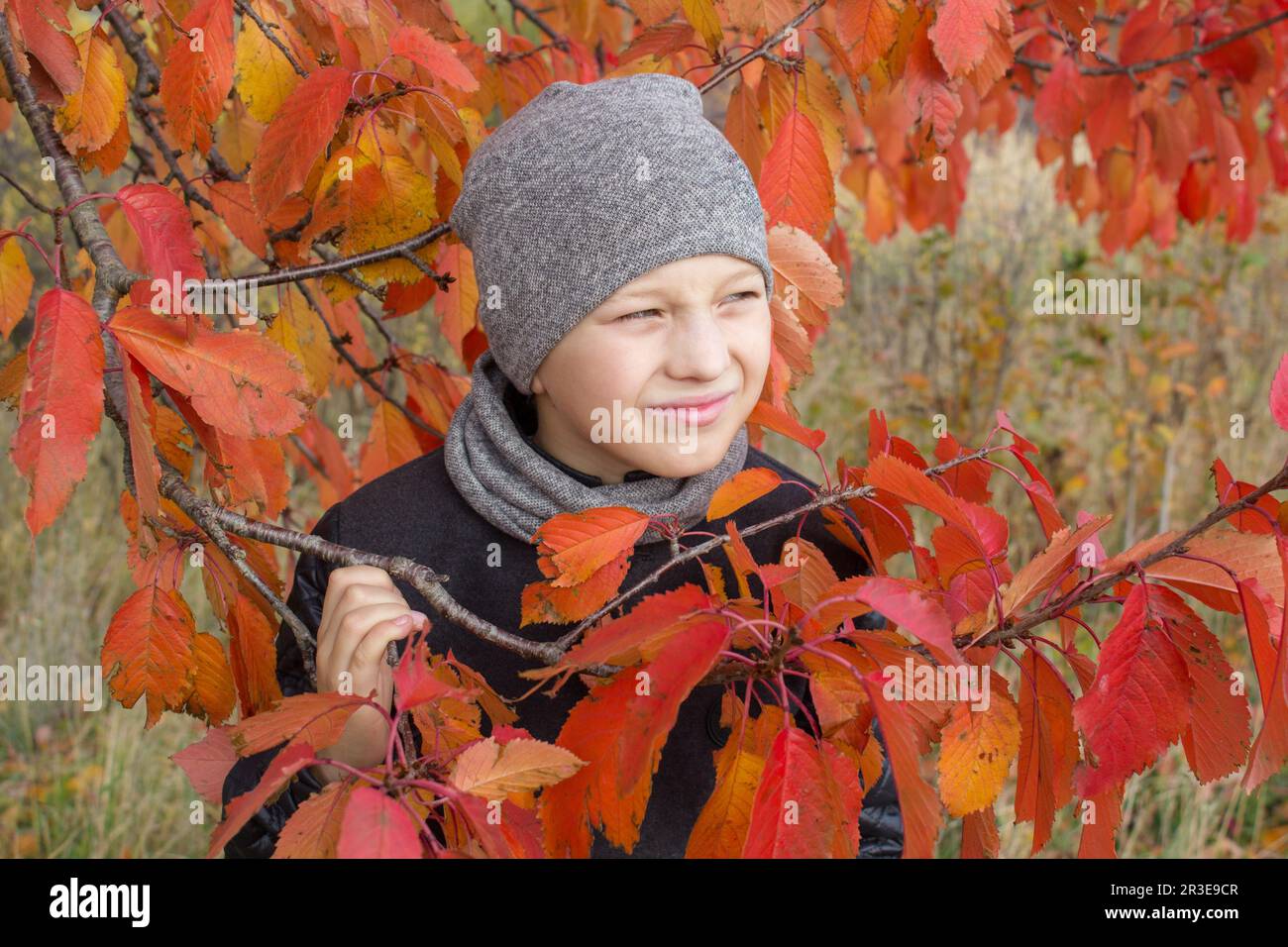children playing hide and seek in the park. hiding behind the tree ...