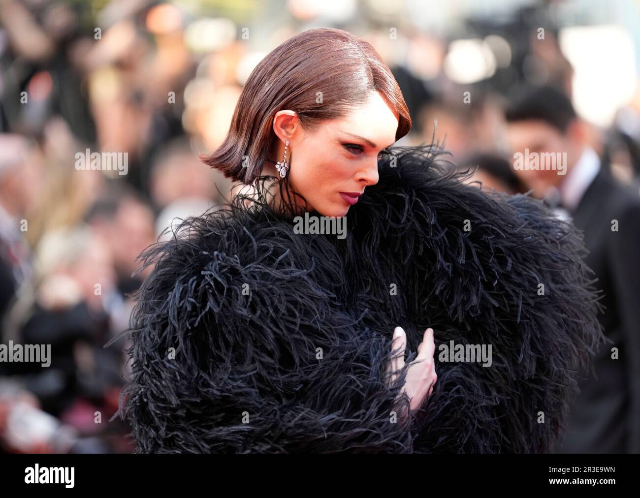 Coco Rocha poses for photographers upon arrival at the premiere of the ...
