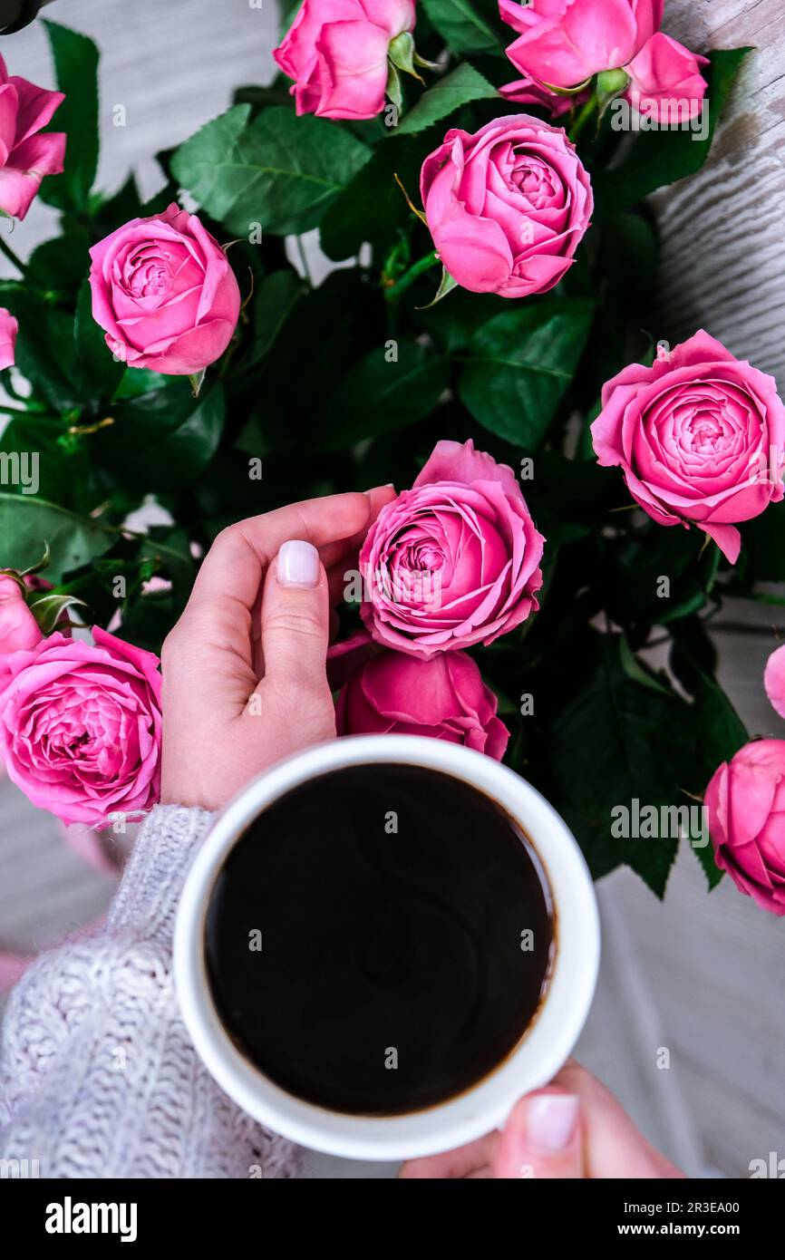 Good Morning Pink Roses 100+] Good Morning Flower Pictures