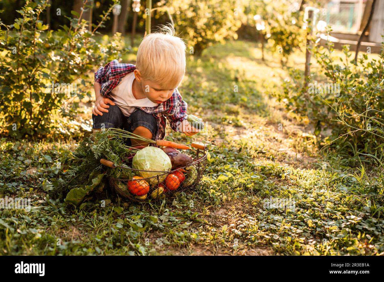 Child holding basket of vegetables hi-res stock photography and images ...