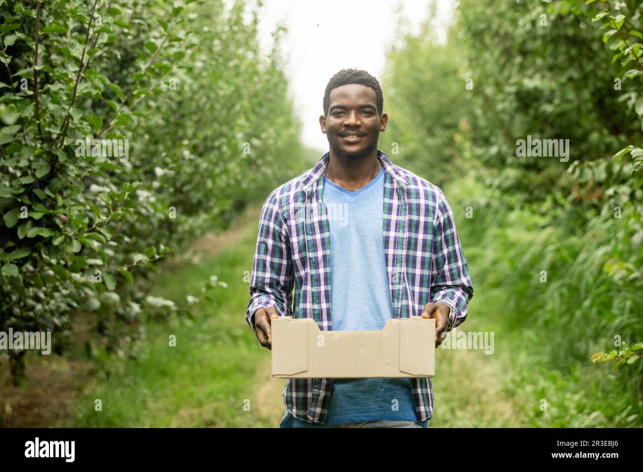 African farmer holding plant hi-res stock photography and images - Alamy