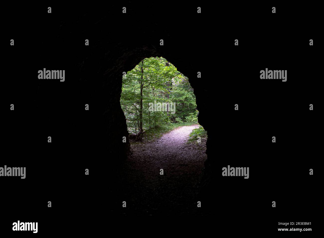 Mysterious exit from a cave to green forest. Light at the end of the ...