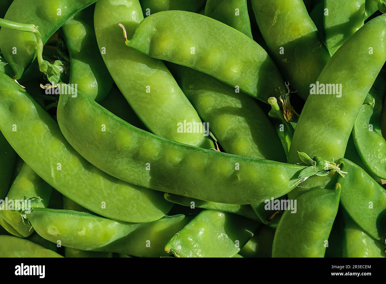 Full frame of young ripe pea pods for background, food delivery from ...