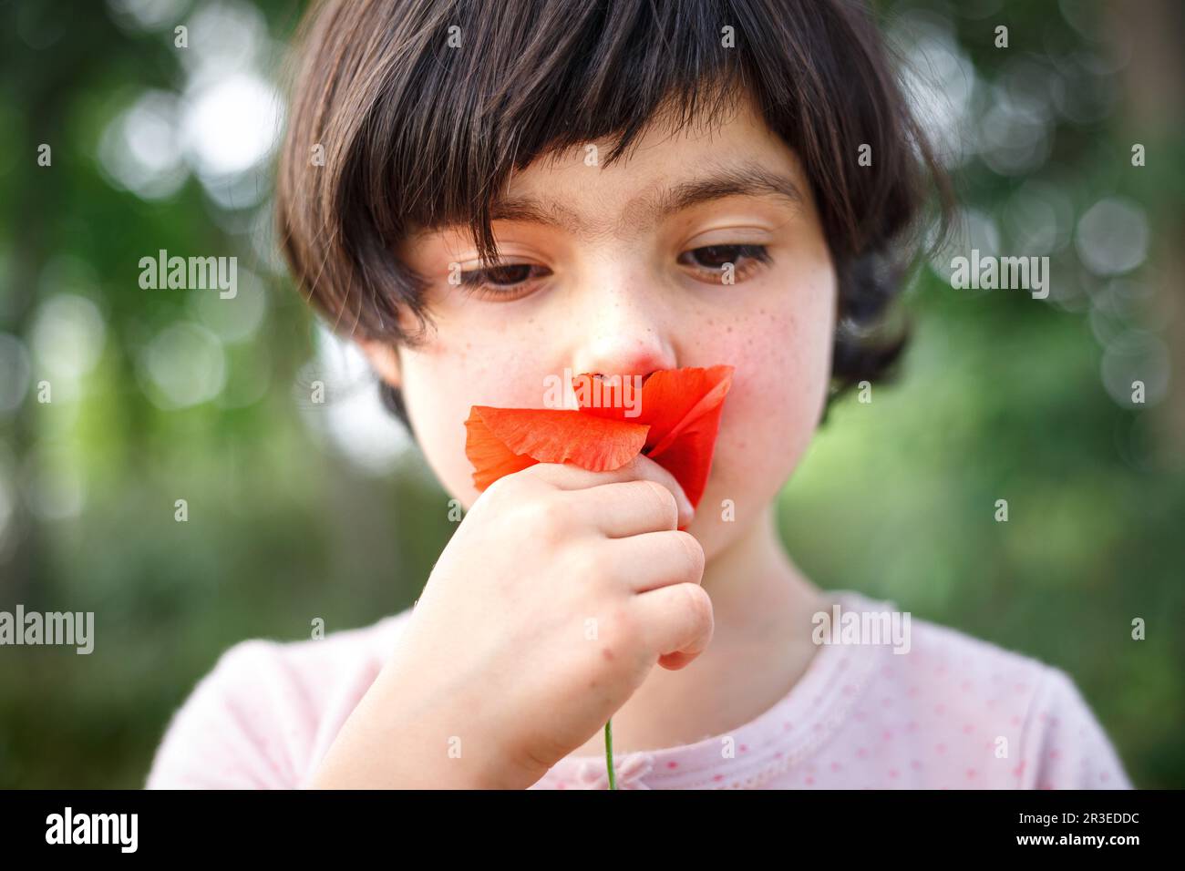 portrait of girl with short dark hair smelling red poppy Stock Photo ...