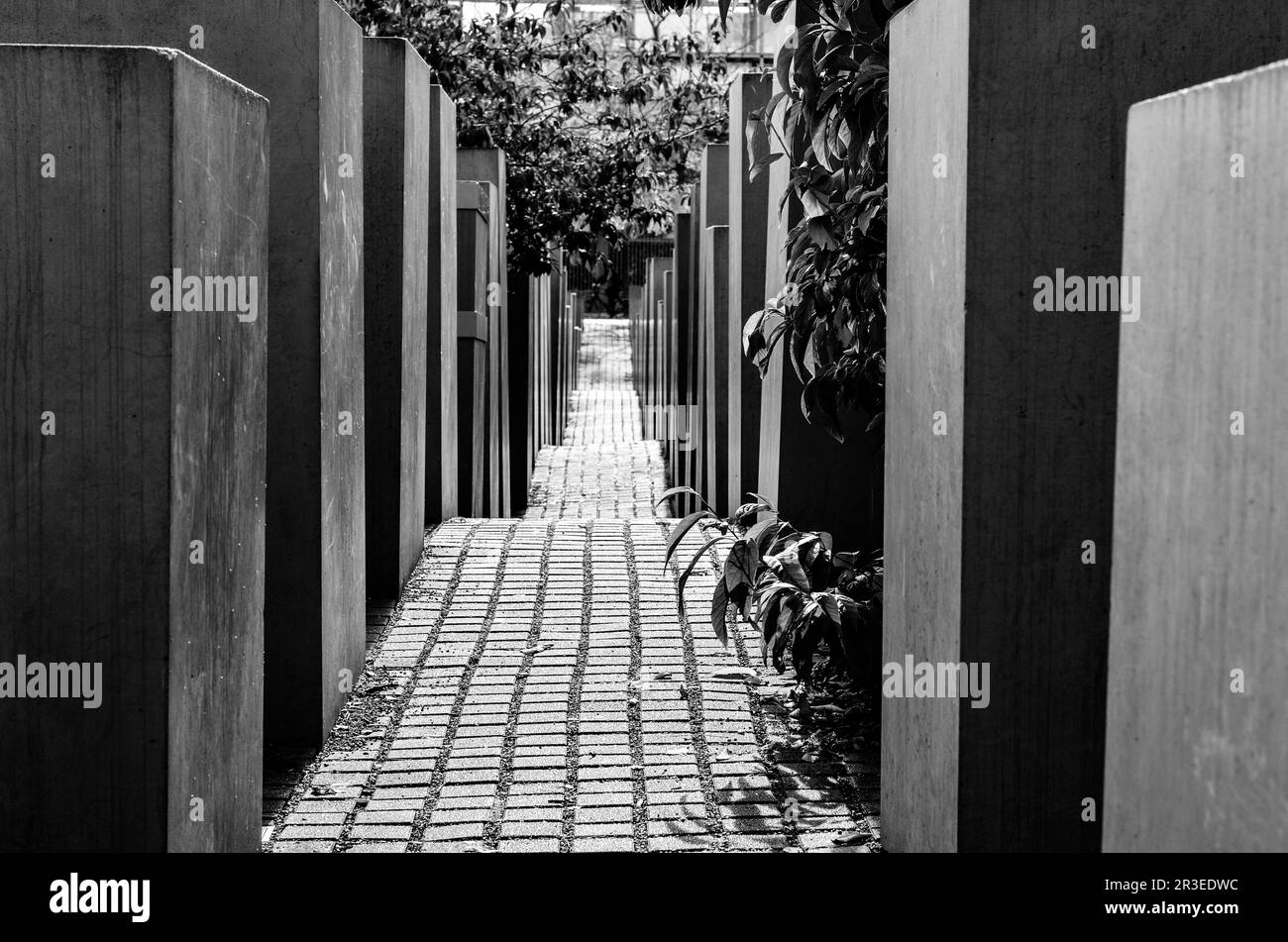 Long path between monoliths Stock Photo - Alamy