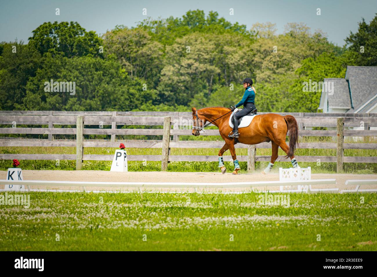 Person Riding A Horse Around The Track Stock Photo - Alamy