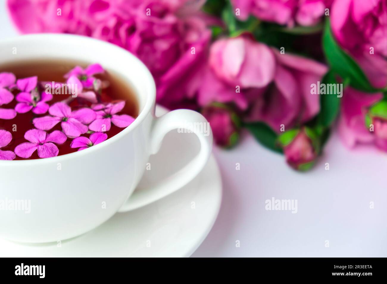 Creative layout with pink peonies flowers and cup of tea on bright ...