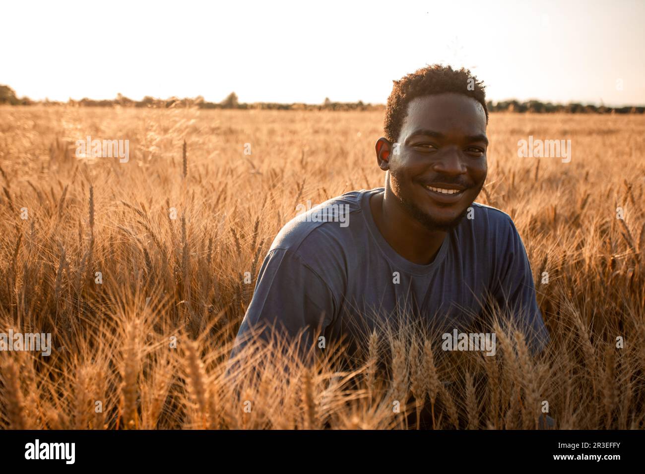Man and grain hi-res stock photography and images - Alamy