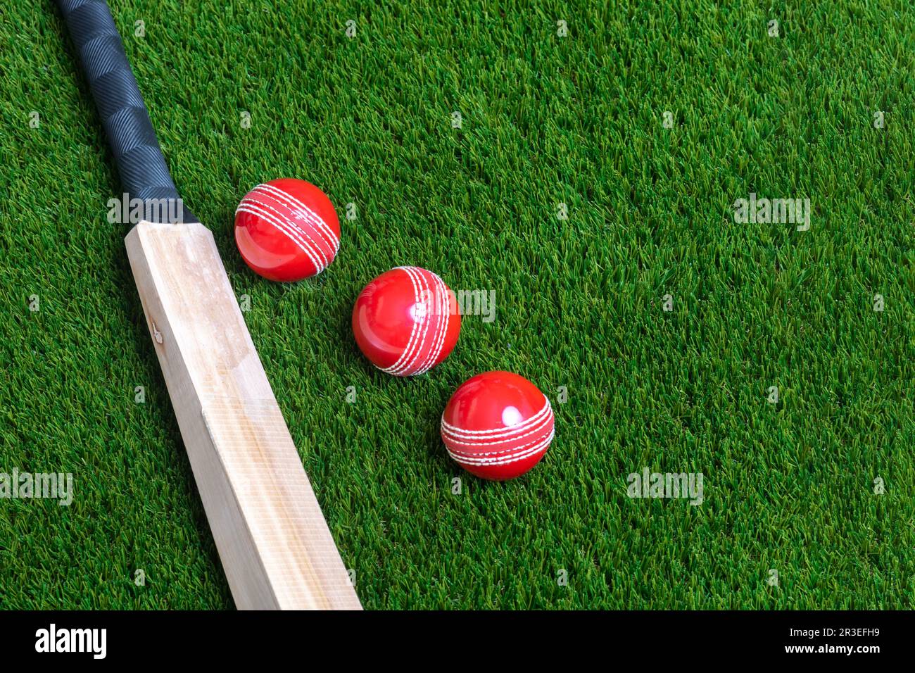 Cricket bat and red ball on green grass background. Horizontal sport ...
